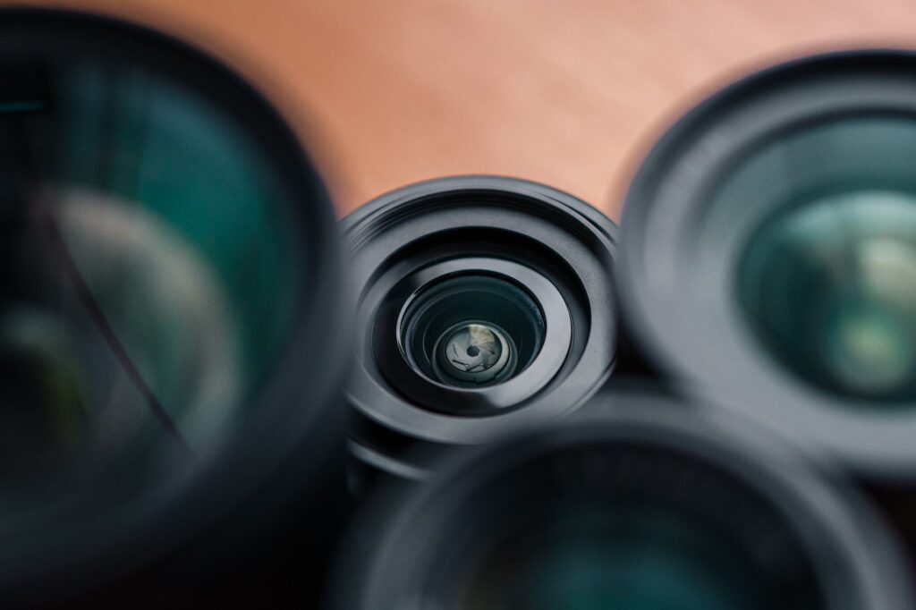 The 10 Best Telephoto Lenses for Bird Photography