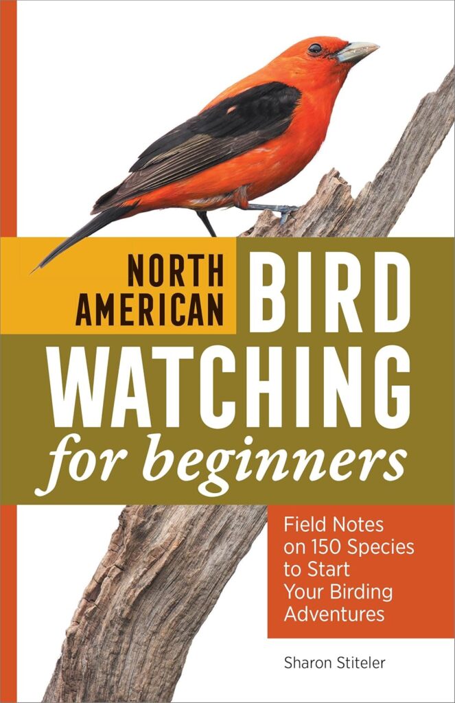 North American Bird Watching for Beginners: Field Notes