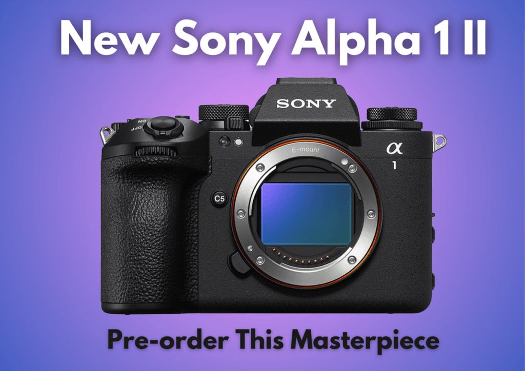 The New Sony Alpha 1 II: A Bold Leap in Wildlife Photography - GoToBirding