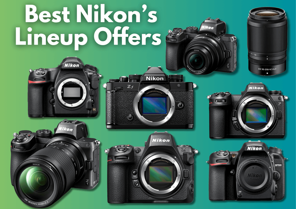The Best Nikon Cameras for Bird and Wildlife Photography in 2025