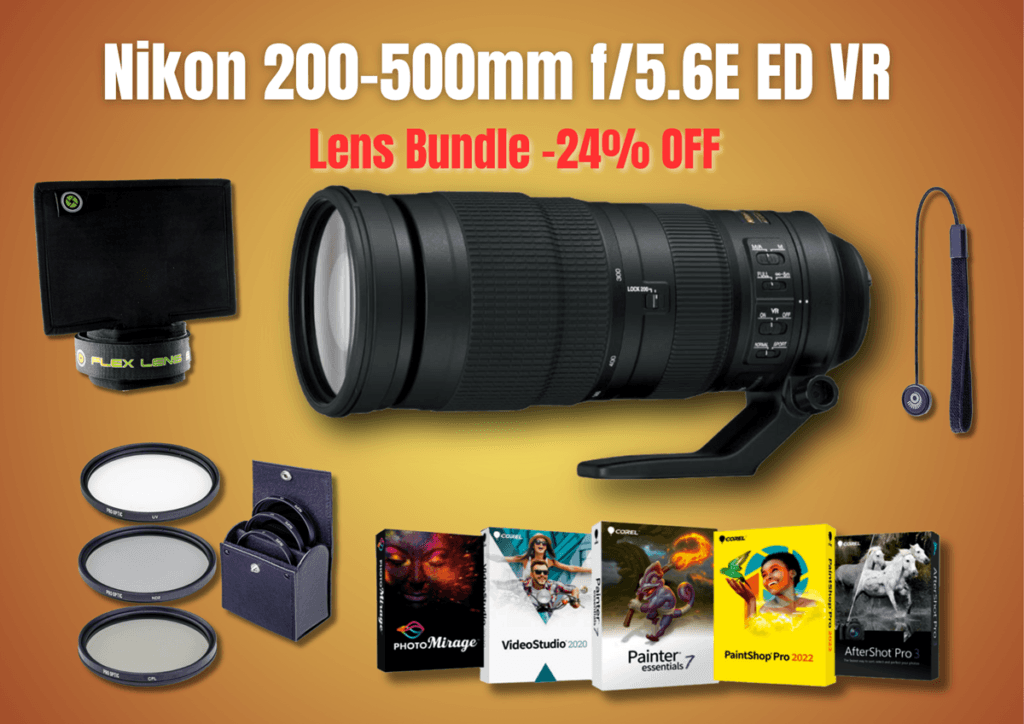Nikon 200-500mm f/5.6E ED VR: Why Do Wildlife Photographers Love This Lens?