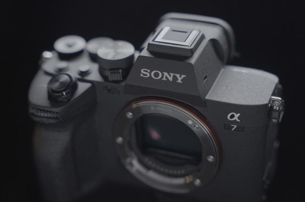 Sony Alpha a7 IV: Exciting Gear for Bird and Wildlife Photography ...