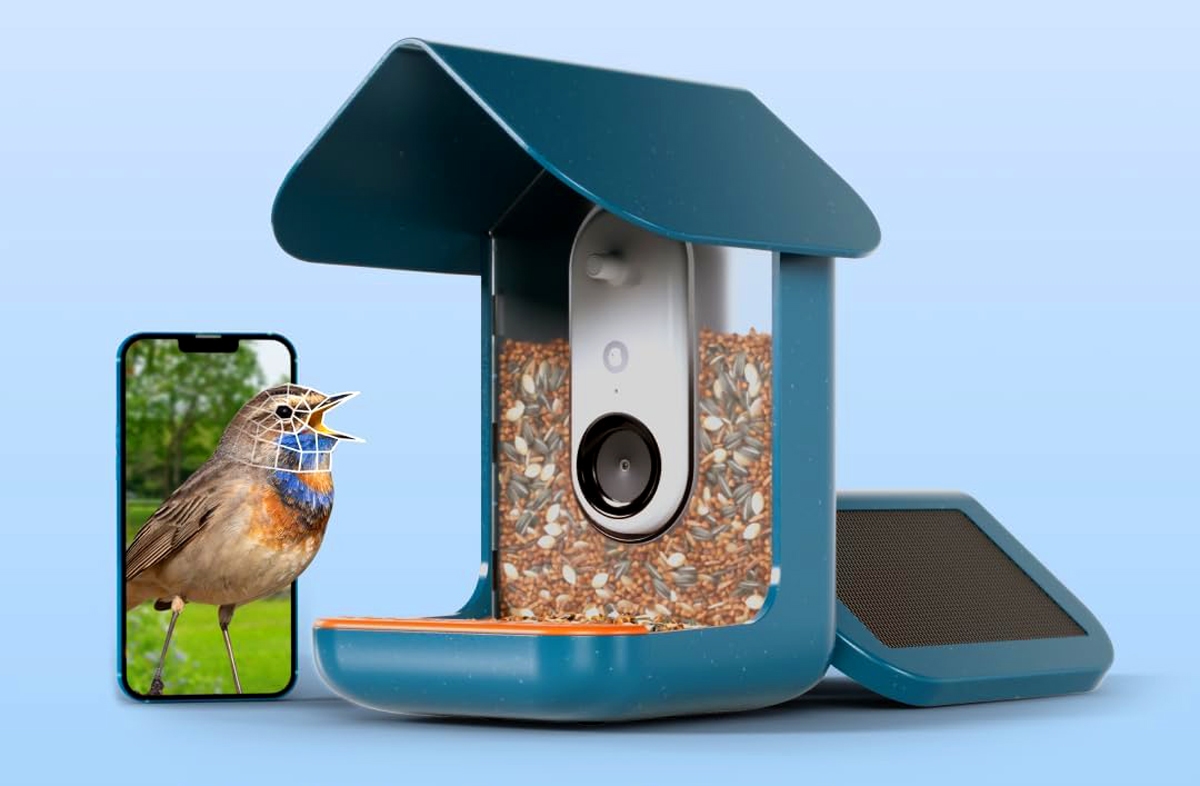 Should You Upgrade to the Bird Buddy Smart Bird Feeder? Here’s What You ...