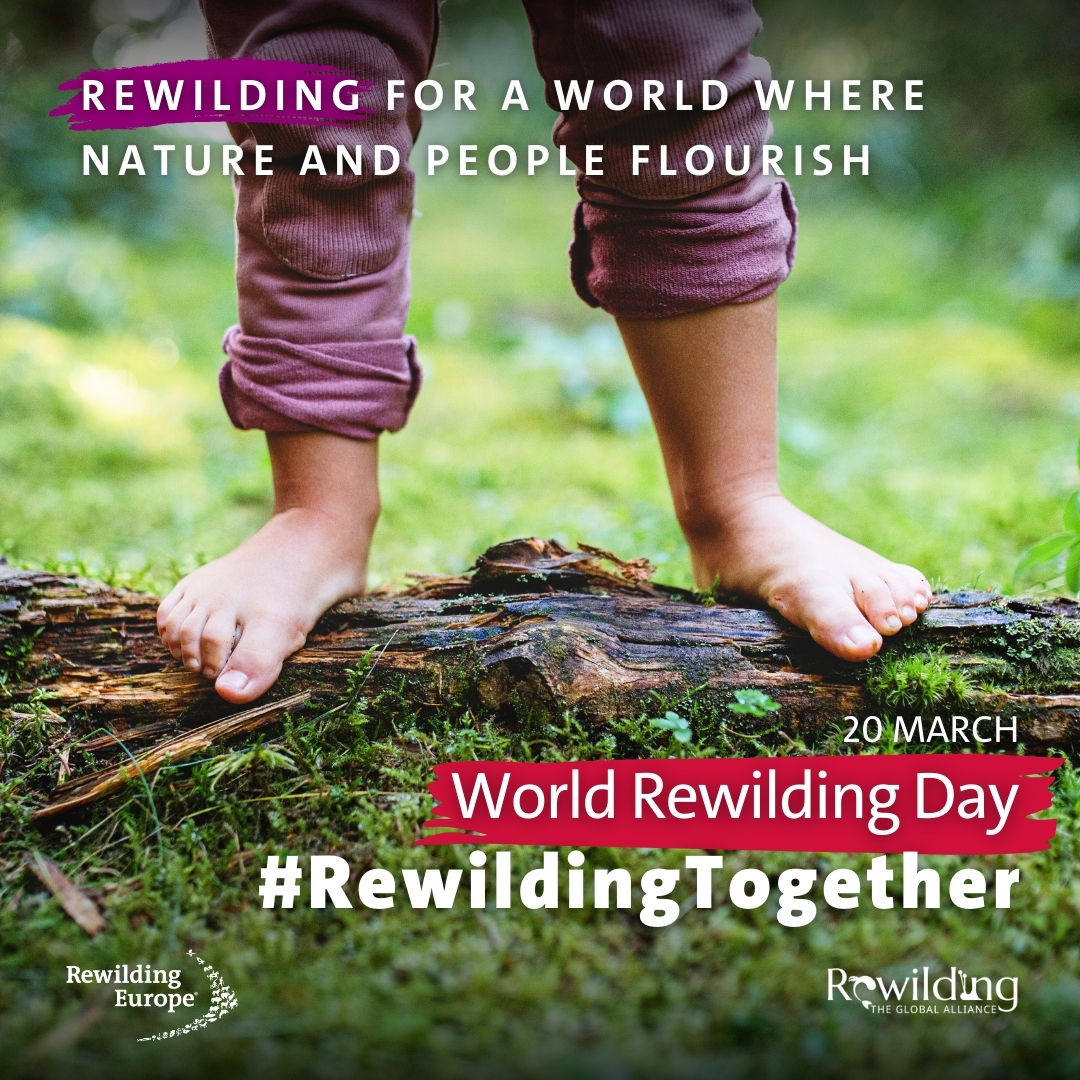 World Rewilding Day 2025: Rewilding Together
